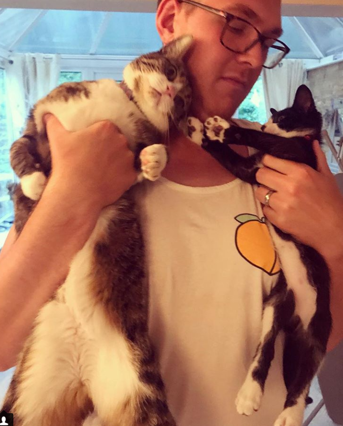 Introducing a new feline friend to your resident cat - Omlet Blog US