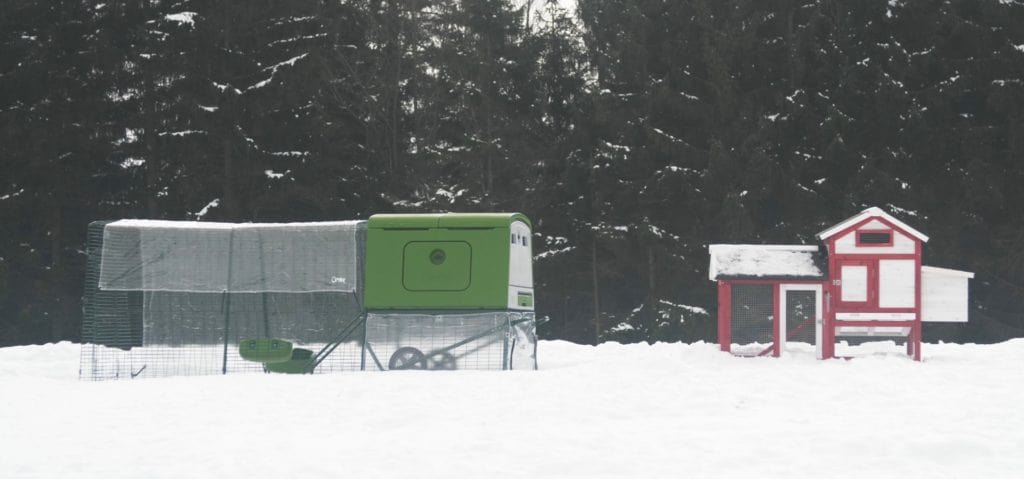 Eglu Cube vs Wooden Chicken Coop: Which Will Stay Warmer? - Omlet Blog US