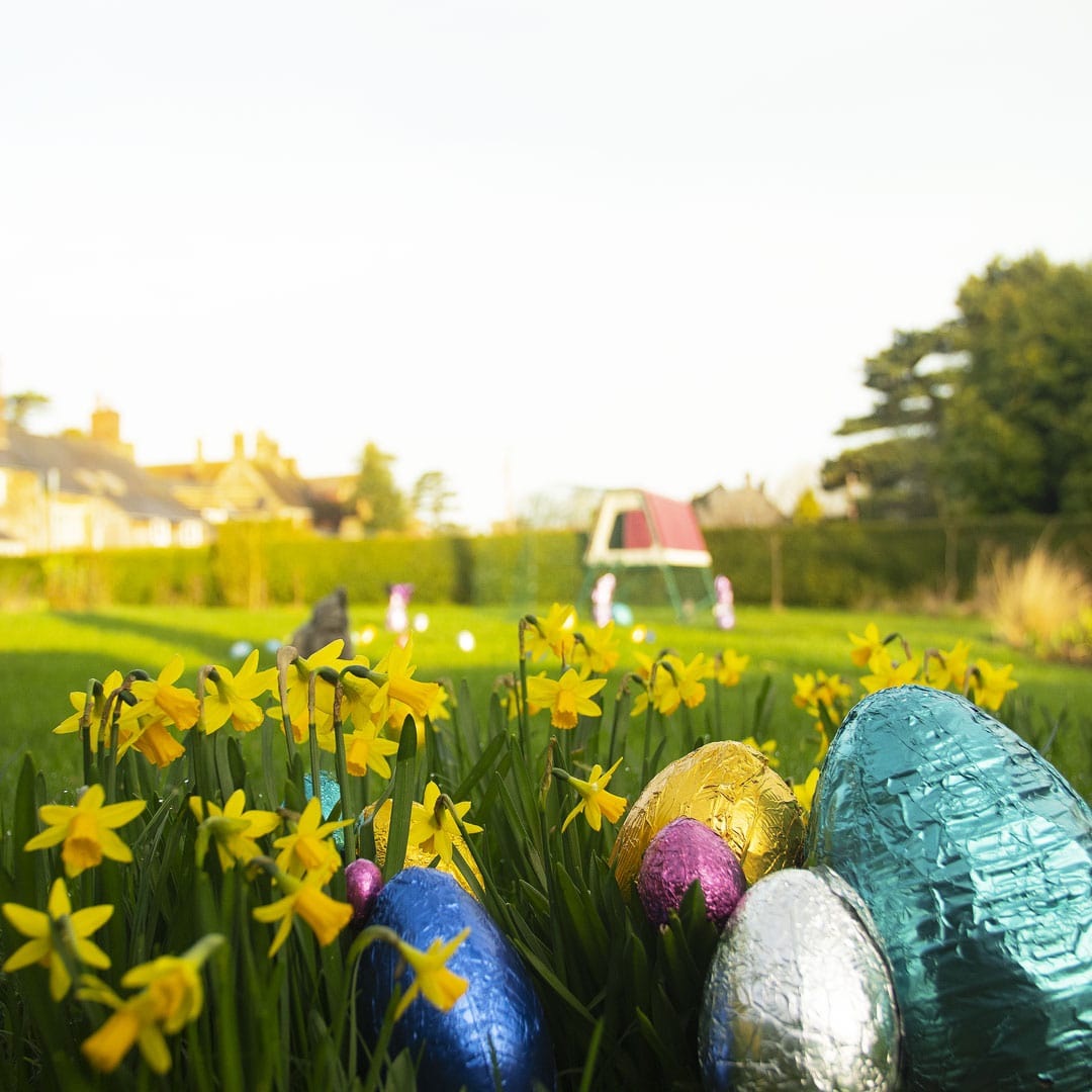 5 Easter Games to Make The Holiday Extra "Hoppy" - Omlet Blog US