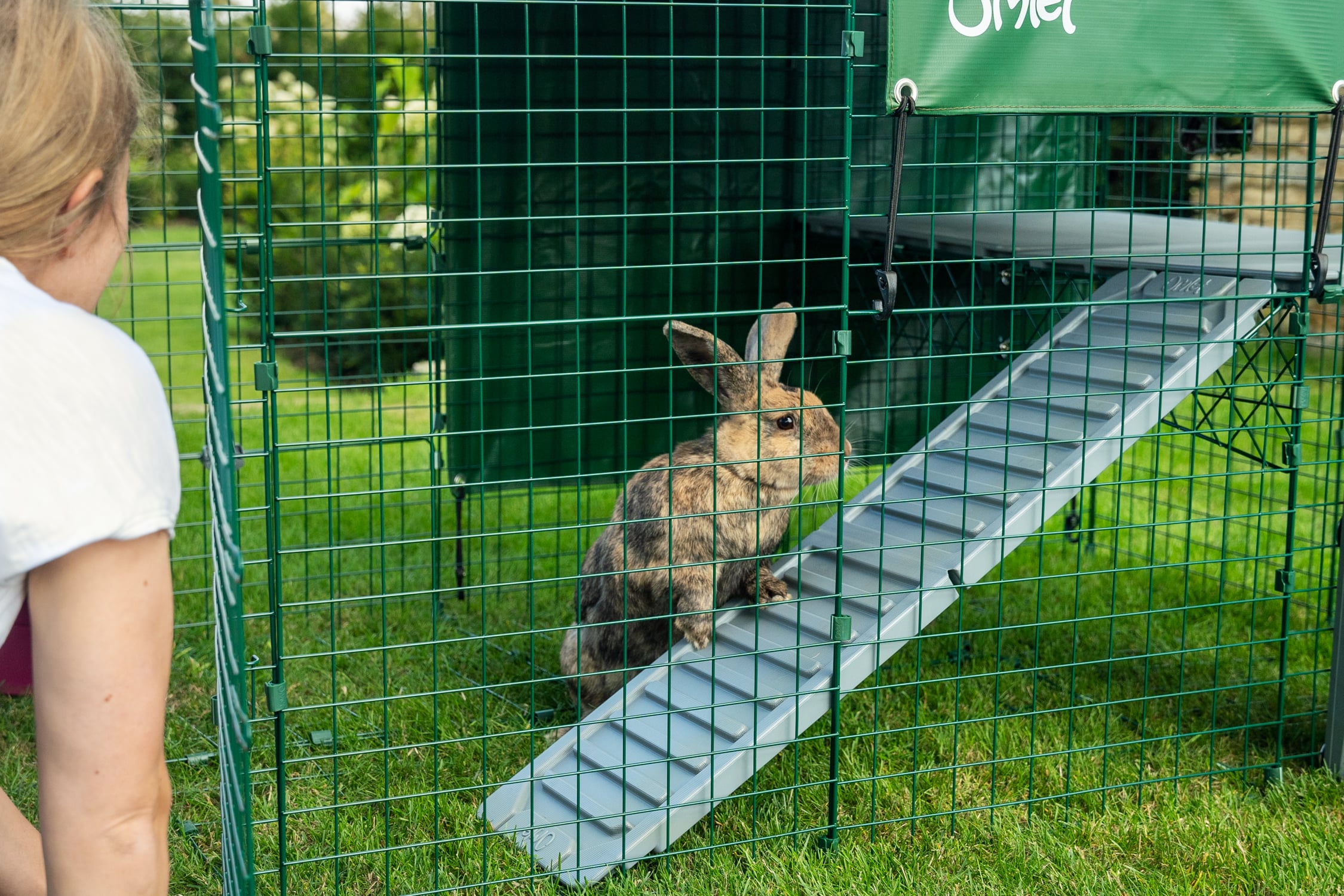 How to use platforms with your rabbits - Omlet Blog US