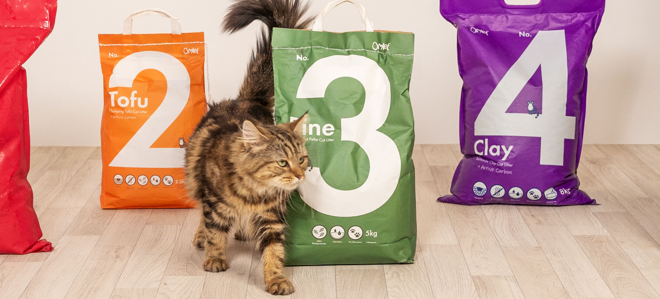 New cat checklist - Omlet Blog US