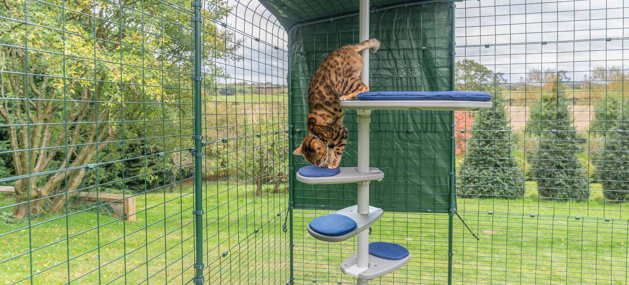 Catio Ideas - Omlet Blog US
