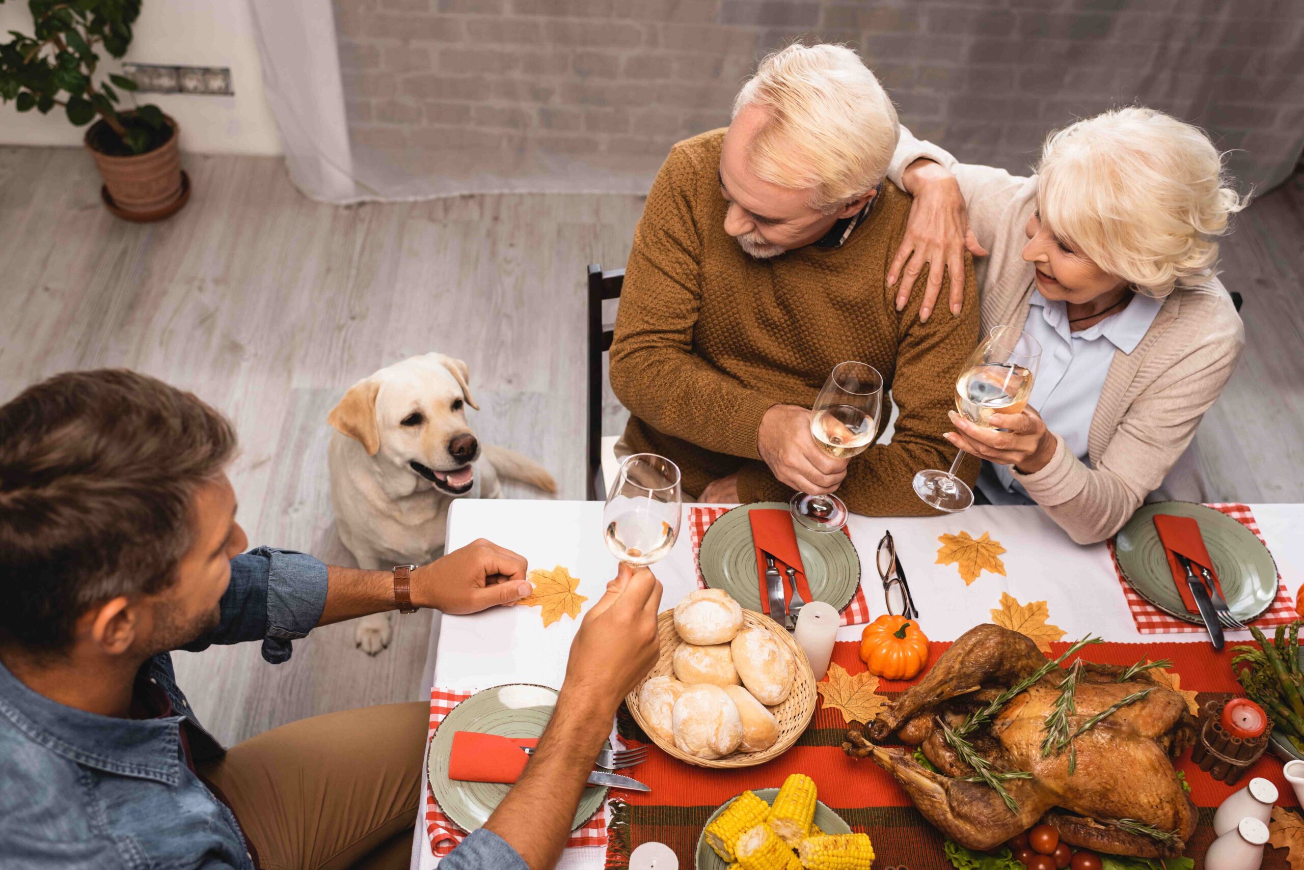 A Dog’s Guide to Thanksgiving - Omlet Blog US