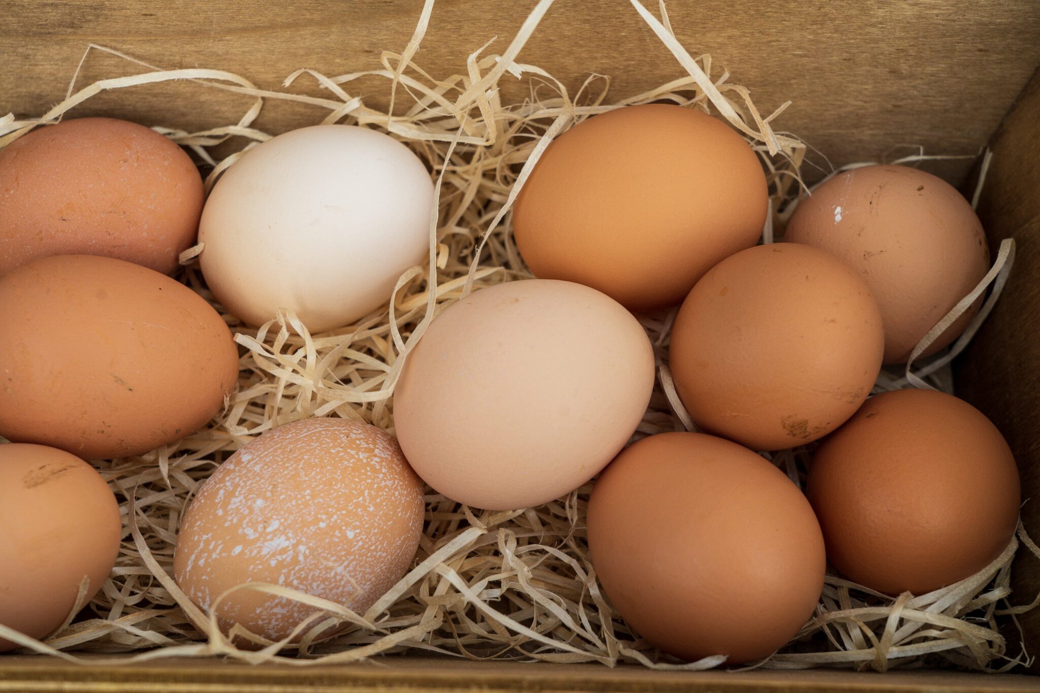 How to supply eggs for your family - Omlet Blog US