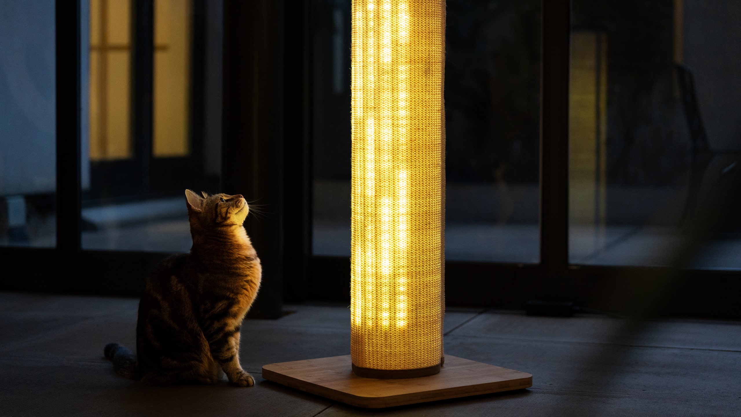 The new cat scratcher with over 1200 light settings - Omlet Blog US
