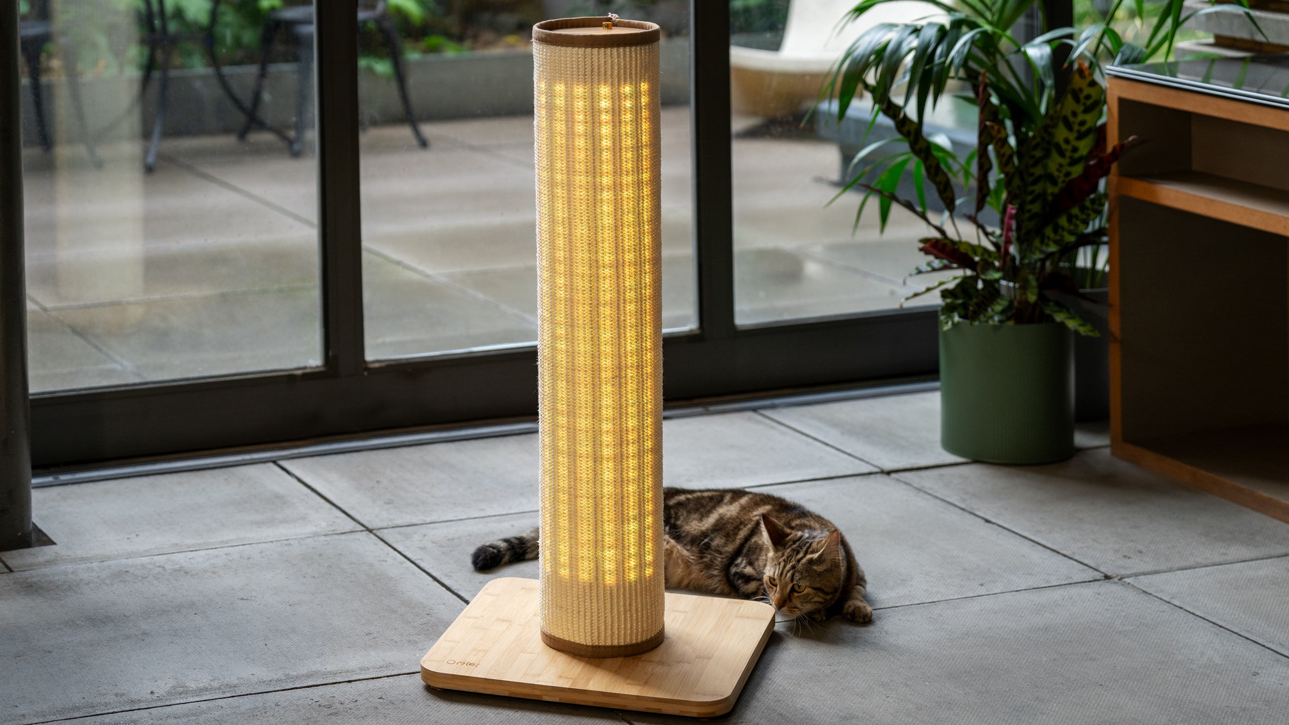 Best cat scratching posts: Help your feline exercise & destress - Omlet ...