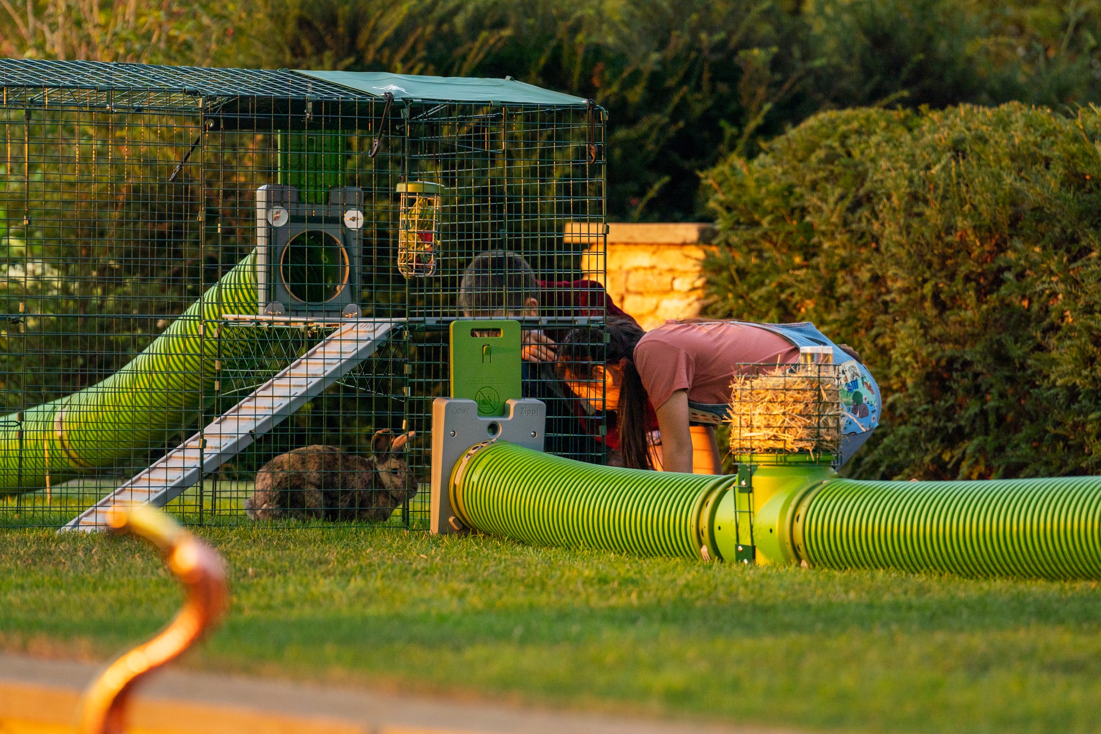 Rabbit enrichment 101 - Omlet Blog US