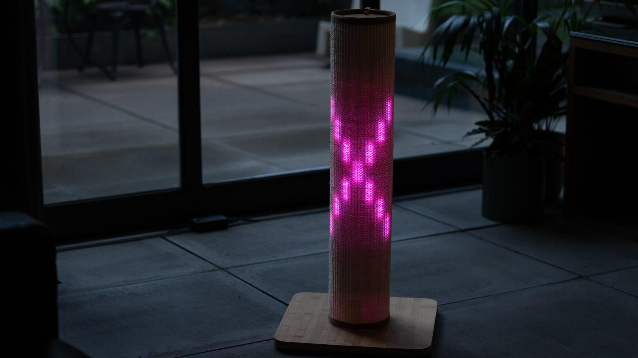 The health benefits of scratching posts - Omlet Blog US