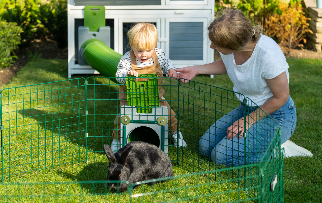 All the best things about having rabbits - Omlet Blog US
