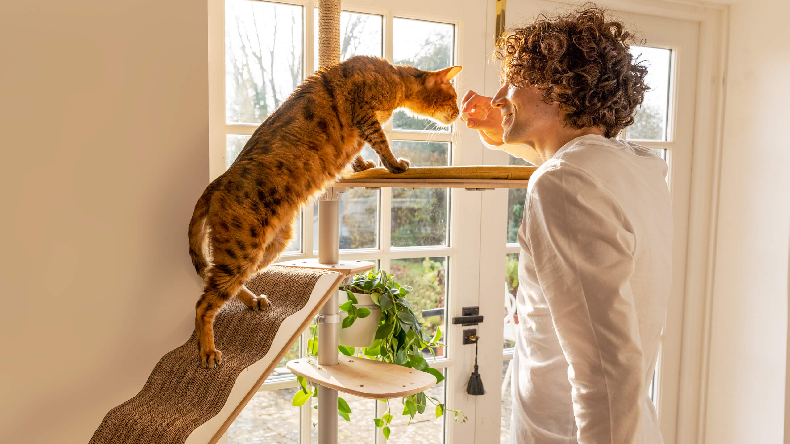 How to keep your cat entertained in winter - Omlet Blog US