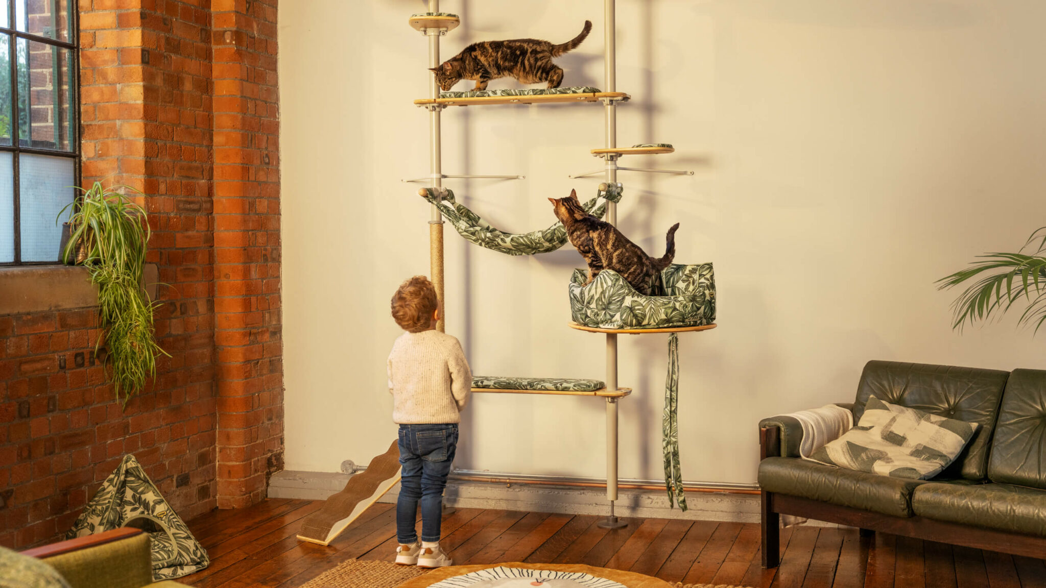 Cats - Omlet Blog US