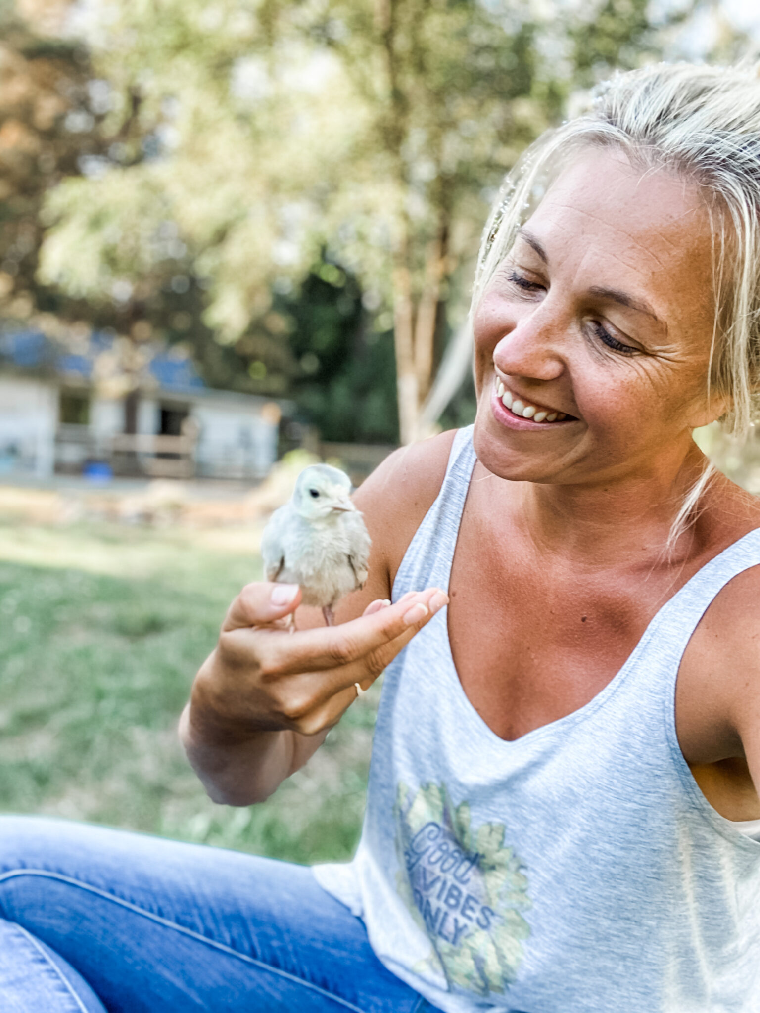 Don’t let your hens lose their cool: 3 ways to battle the heat this ...